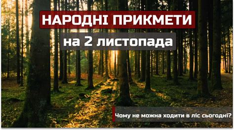 Прикмети на 2 листопада традиції та що сьогодні не можна робити