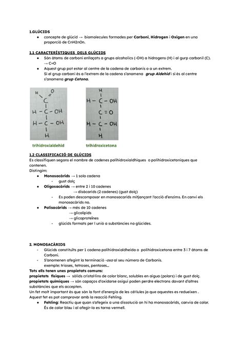 Apunts De Biologia Sobre Els Glúcids Lípids Proteïnes àcids Nucleics