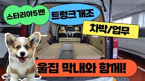 No스타리아 218 스타리아 5밴 트렁크 넓게 사용 💦상부쿠션 일체형 침상박스 애완견과 함께~차박 이동사무실 개조