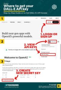 How To Get DALL E API Access Tokenized