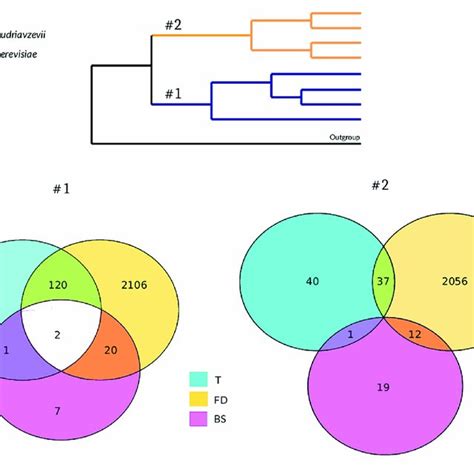 Species Based Comparative Genomics Approach Venn Diagrams Represent