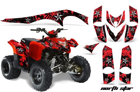 Polaris Phoenix 200 Graphics Kit