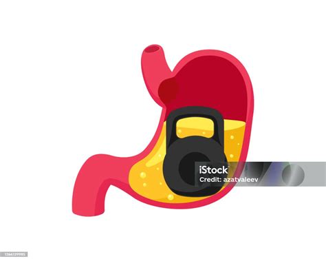 내부에 무거운 무게 아령과 위 무거움 소화 시스템 문제 과식 소화 불량과 배꼽 질환 복부 위 통증 의료 벡터 일러스트 만성질환에
