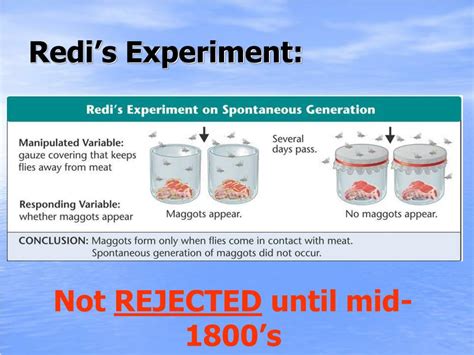 Ppt Origin Of Life Powerpoint Presentation Free Download Id5728284