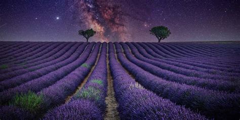 Top 17 Photo Spots At Valensole In 2026