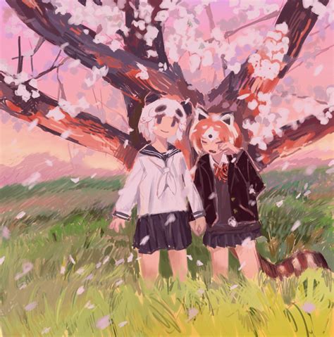 Red Panda Kemono Friends Wallpapers Wallpaper Cave