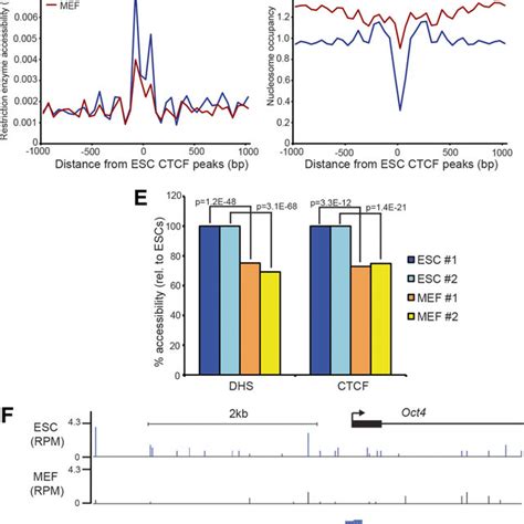 Cell Type Specific Differences In Chromatin Accessibility A Average