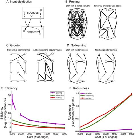 Computational Network Model And Comparison Between Pruning And