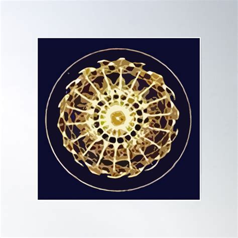 The Cymatics T 2 Poster Wall Art Modern Wall Decor 16x16 Unframed