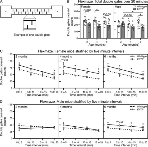 Ent1−− Mice Show Reduced Physical Function In The Flexmaze Assay Ac