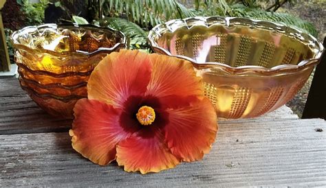 1930s Marigold Carnival Glass Berry Bowl Set Fenton Etsy