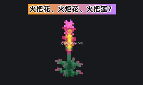 Minecraft APK Download Torch Flower Vs Torch Flower Will Mojang Make Torch Flowers Glow Minecraft APK Download Torch Flower Vs Torch Flower Will Mojang Make Torch Flowers Glow