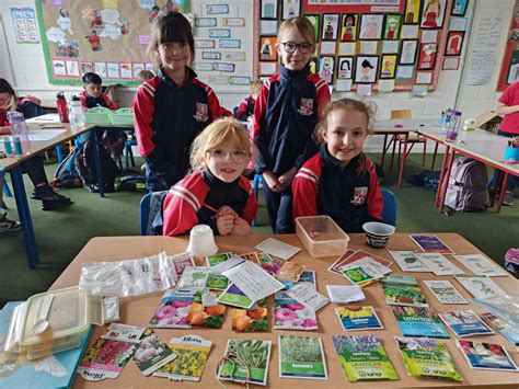 St Colmans Ns Stradbally Added St Colmans Ns Stradbally