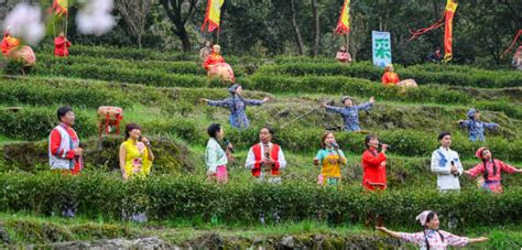 苏皖携手举办2023石台硒茶开采节