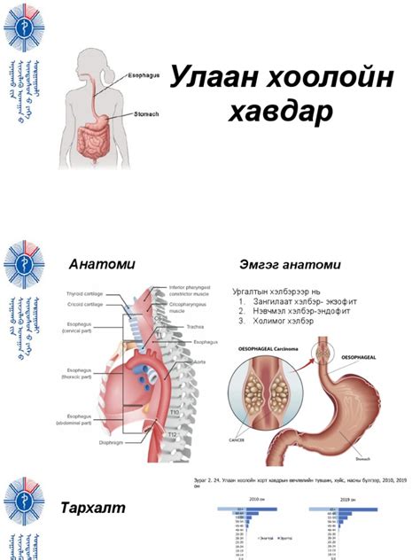 Улаан хоолой ходоодны хавдар 1 Pdf