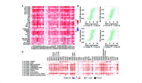 Correlation Of Ido1 Expression With Immune Infiltrates Level In The