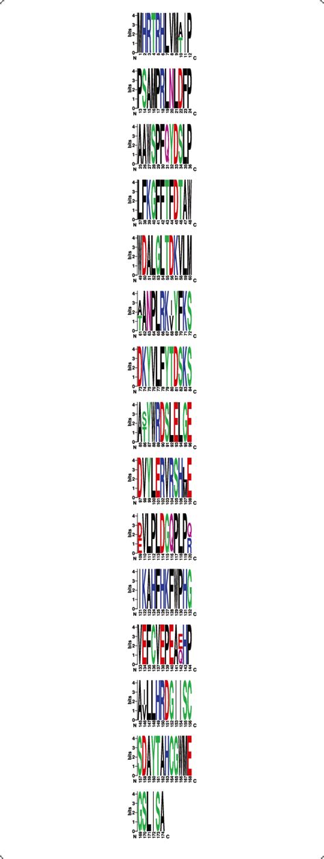 Weblogo Illustration Of Aligned Vioa Amino Acid Sequences Belonging To