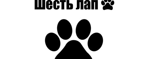 «Шесть лап «Шесть лап канал на Яндекс Дзен который посвящен