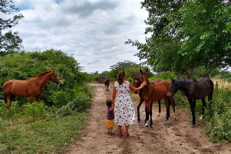 Turismo Rural En Cordoba