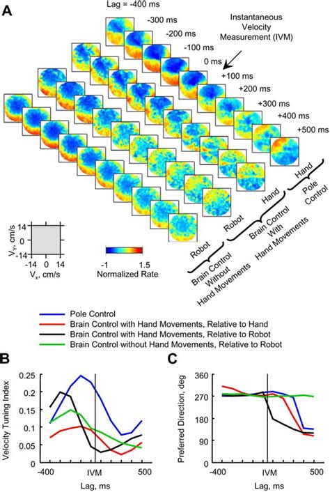 Velocity Tuning In M1 Neuron Tuned During Pole Control And Brain Download Scientific Diagram