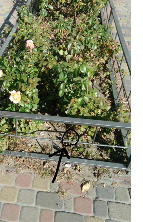 Ll 50 450706 30 470713andq D0 9c D0 Be D1 8f 20