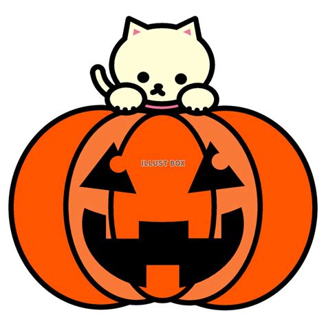 カボチャと仔猫ハロウィン