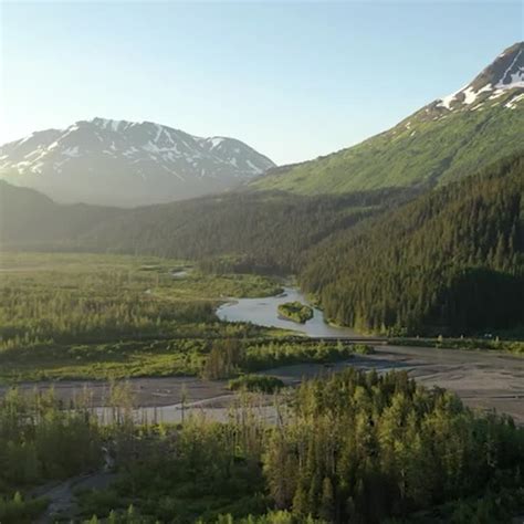 [video] Alexandre Thibault Posted On Linkedin