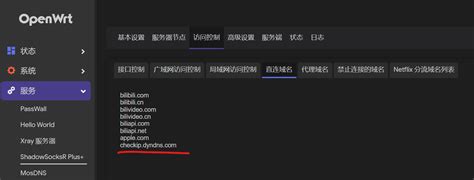 openwrt旁路由设置动态DNS教程 开放笔记