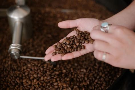 Coffee Tasting 101 Developing A Palate For Flavor Profiling