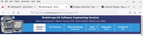 Brainforge UK Template Style Override Plugin