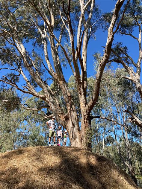 Running Fit Happy Saturday Sun Is Shining Your Running Fit Store Is