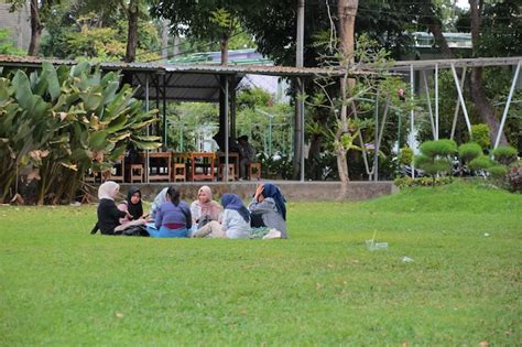 Premium Photo A Group Of Women Sit On The Grass In A Park