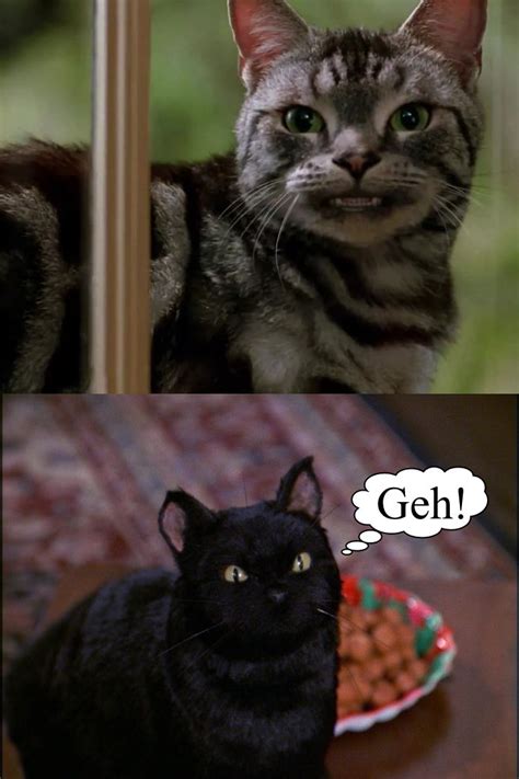 Monty The Mouth Looks Creepily At Salem By Ehrisbrudt On Deviantart