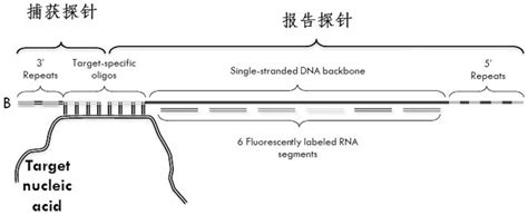 Aml Prognosis Related Gene Expression Detection Kit Eureka Patsnap
