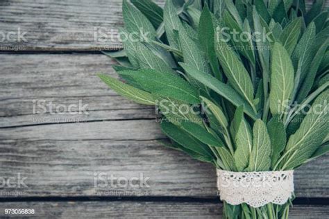 Salvia Officinalis입니다 오래 된 나무 테이블에 세이 지 잎입니다 정원 세이 지 수 제 레이스입니다 복고풍 잡지