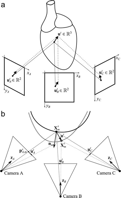 Schematic Drawing Of Reconstruction Procedure Of Three Dimensional