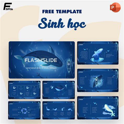 Dịch Vụ Thiết Kế PowerPoint Cho Học Sinh Sinh Viên