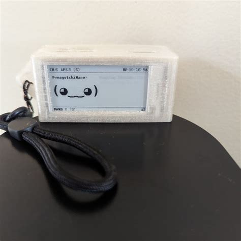 Pwnagotchi Etsy