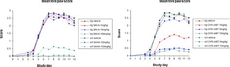 The Effects Of Conventional And Macrophage Targeted Hdac Inhibitors And