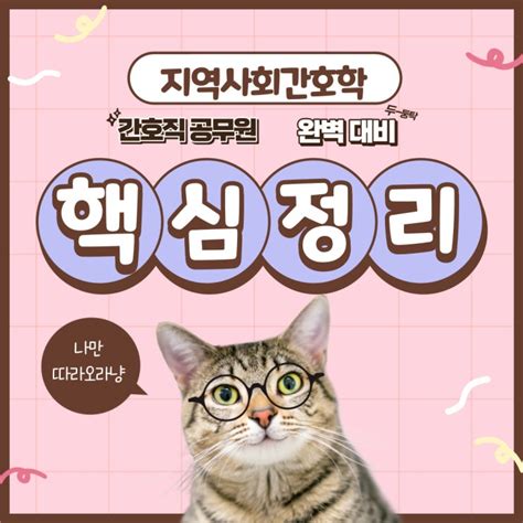 지역사회간호학 요약 간호직공무원 빈출 개념 요약 ① 지역사회간호사의 역할 및 역할 개발 기출문제 네이버 블로그