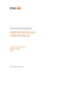 Format Description Camt And Camt Format