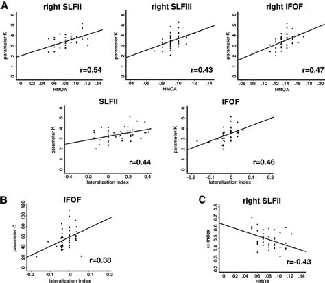 relationship between structural variability and individual differences