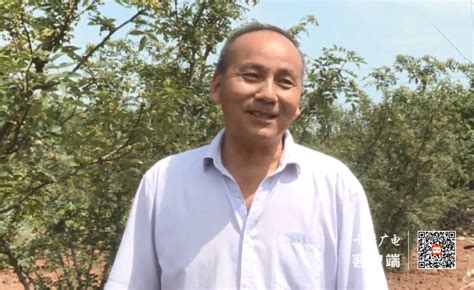 小小青花椒成为郧阳区梅铺镇增收大产业 十堰广电网