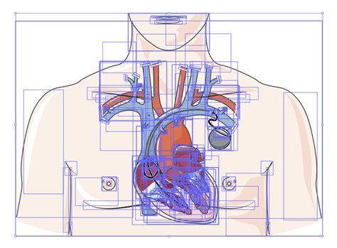 Pacemaker Vector