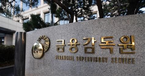 금감원 고려아연·영풍 회계심사 착수중과실 나오면 감리로 전환