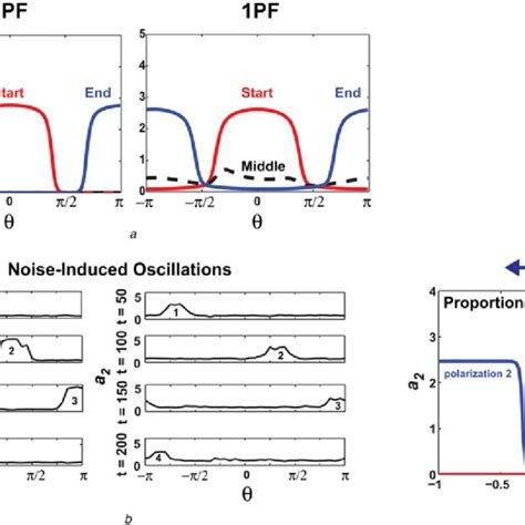 Pde Modelling Of Mating Morphologies A Presence Of Two Positive
