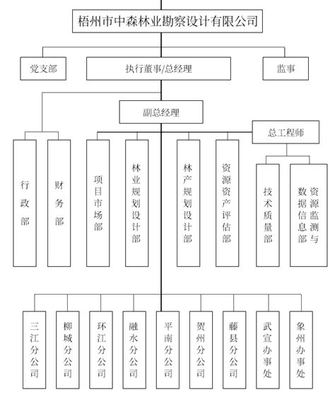 组织架构 梧州市中森林业勘察设计有限公司