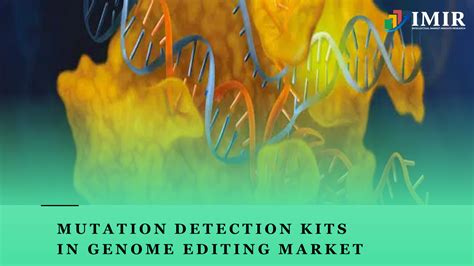 Global Mutation Detection Kits In Genome Editing Market Size Share