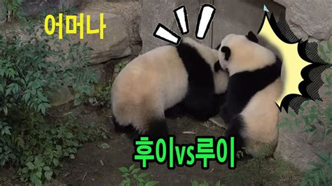 즐거운 휴일 보내세요 감사합니다 오늘 하루도 잘 보내시고😄 Youtube