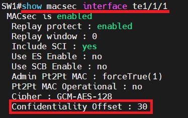 Cisco MACSec Advanced Switch To Switch Configuration WIRES AND WI FI